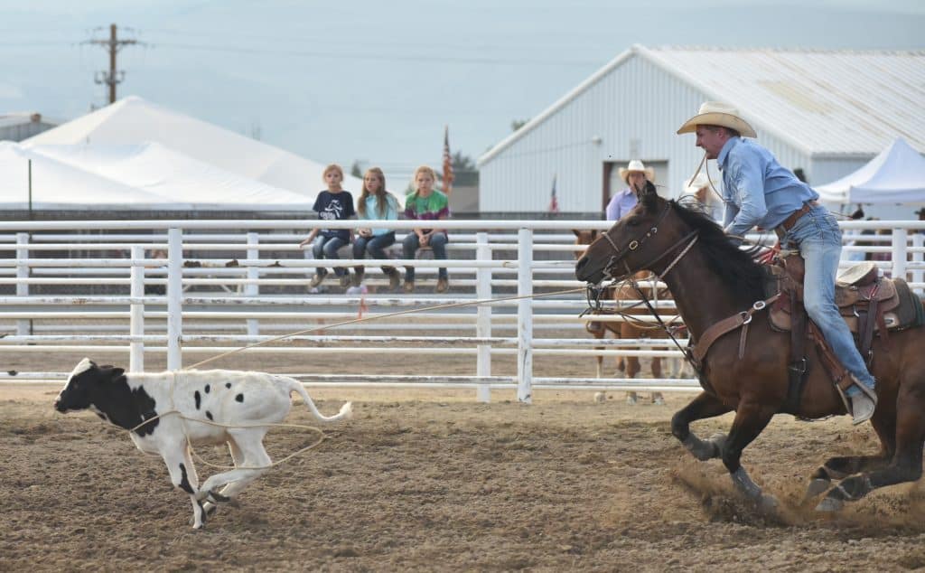 CPRA Rodeo still a wild ride at reduced capacity (photos) | SkyHiNews.com