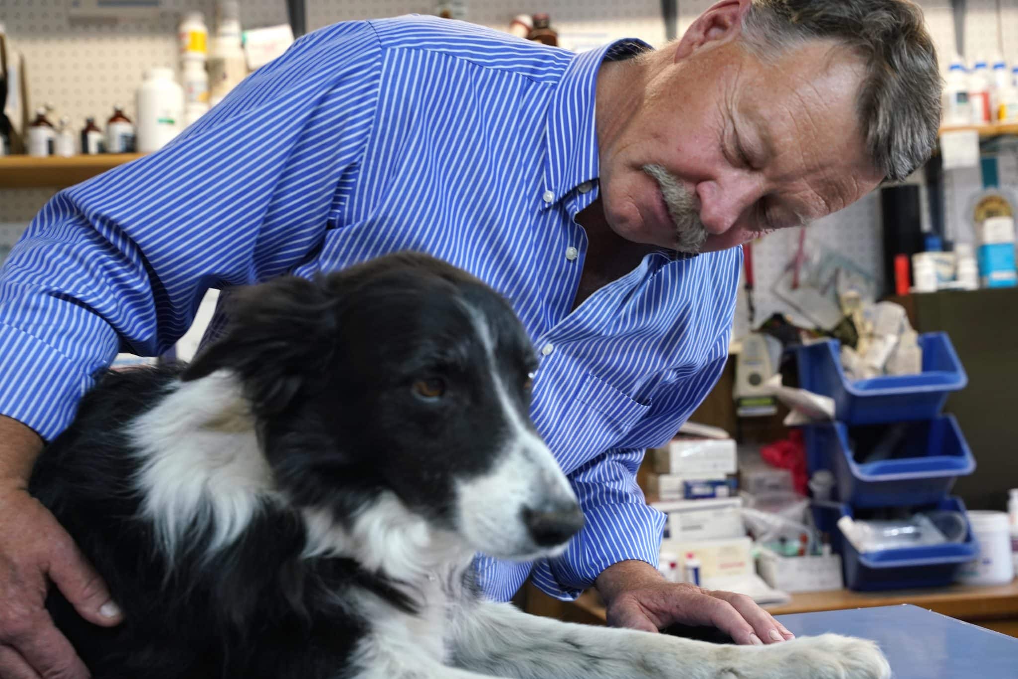 Farewell to a country vet | SkyHiNews.com