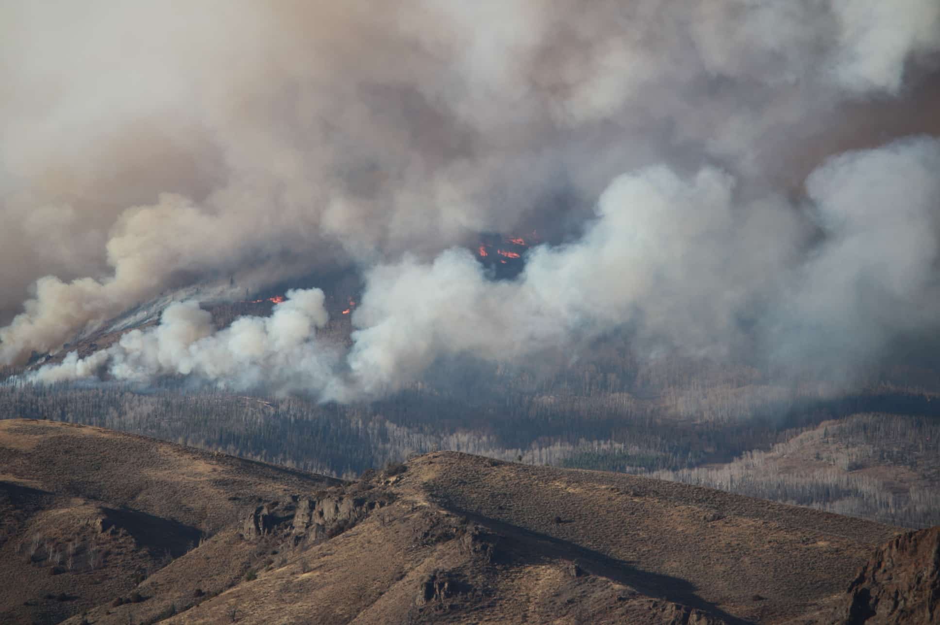 East Troublesome Fire grows to almost 14,000 acres | SkyHiNews.com