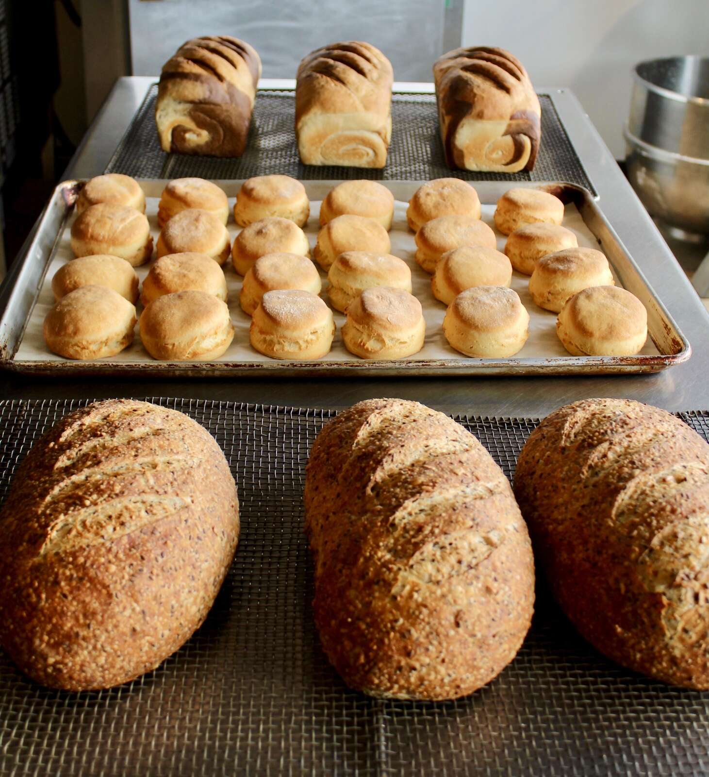 Carvers bakery becomes Bake Haus 232 | SkyHiNews.com