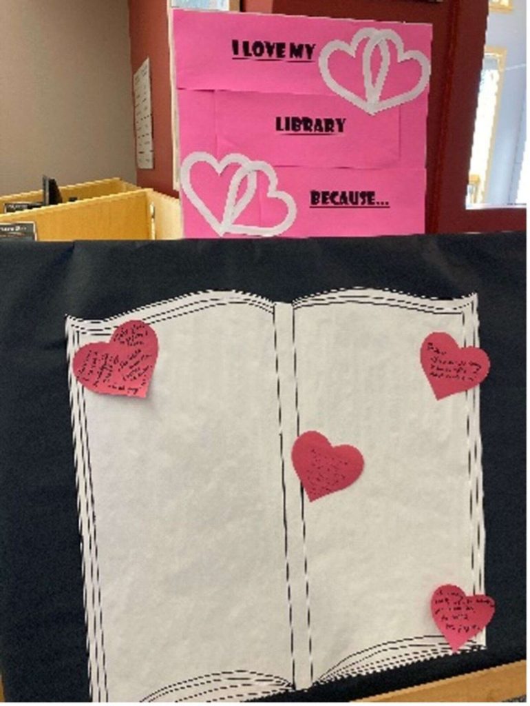 Library Corner: February is National Library Lover’s Month | SkyHiNews.com