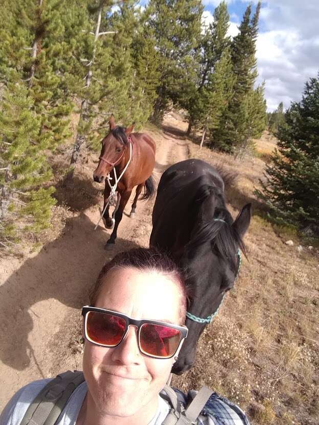 Pair of escaped Forest Service horses found after making 12-mile trek ...