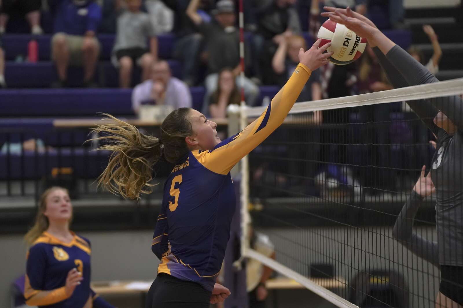High expectations, less pressure for Mustangs volleyball | SkyHiNews.com