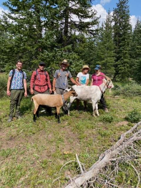 3 men rescue goat from ditch in Flat Tops Wilderness | SkyHiNews.com