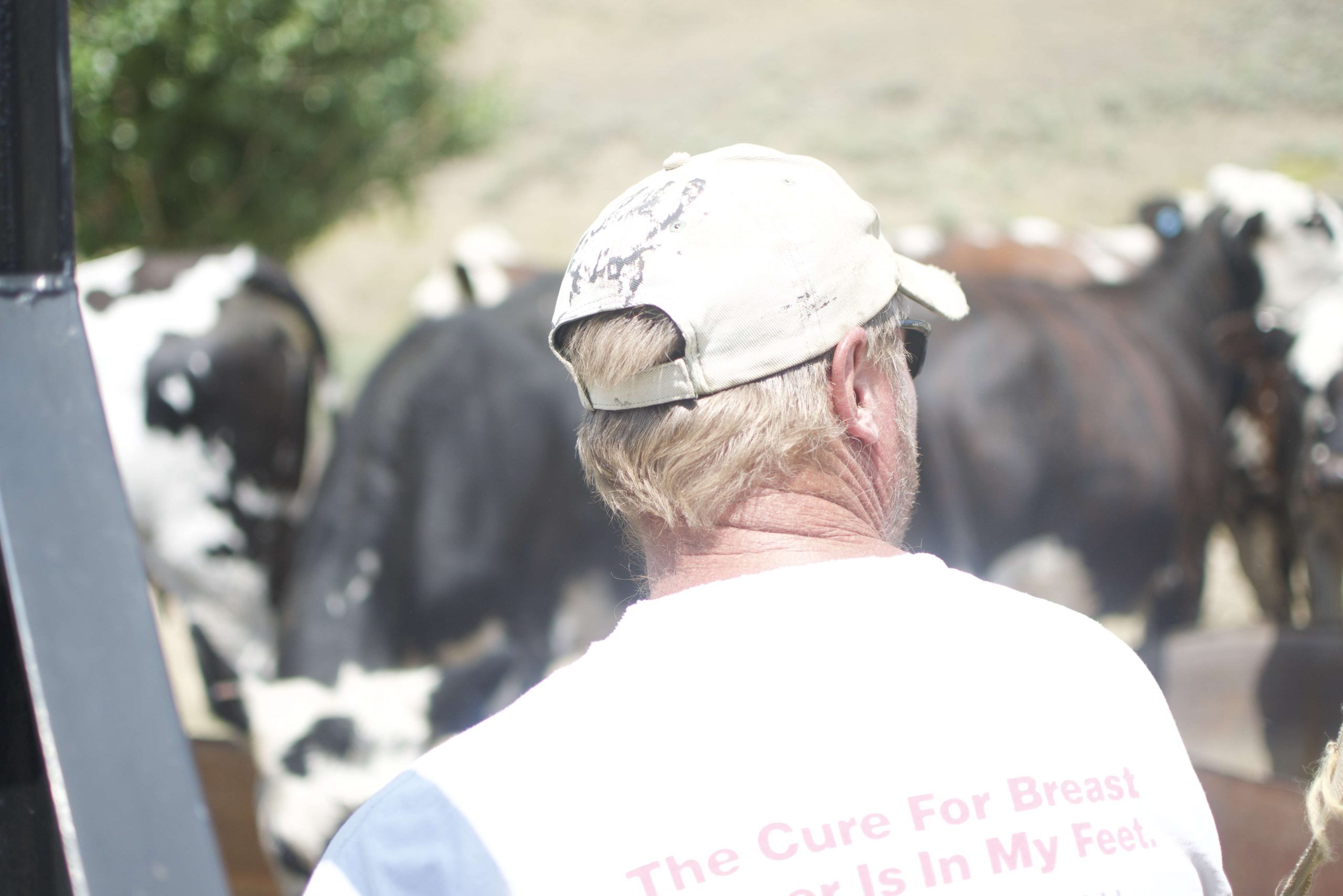 For ranchers in Moffat County, drought is tangible, inescapable ...