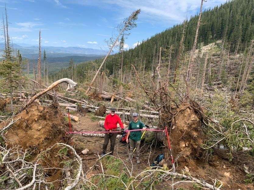 HTA clears hundreds of downed trees on High Lonesome Trail by hand ...