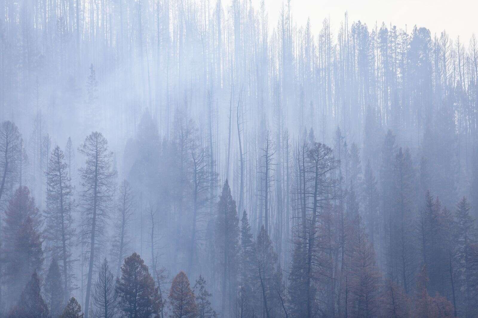 Crews make significant progress on Sylvan Fire despite containment ...