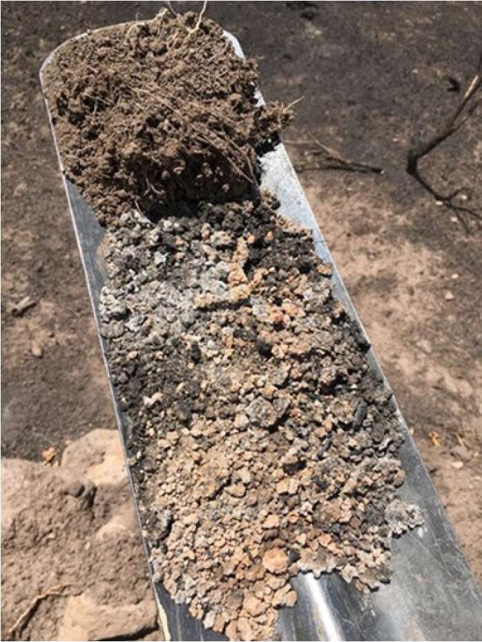 New reports gauge severity of soil damage from East Troublesome ...