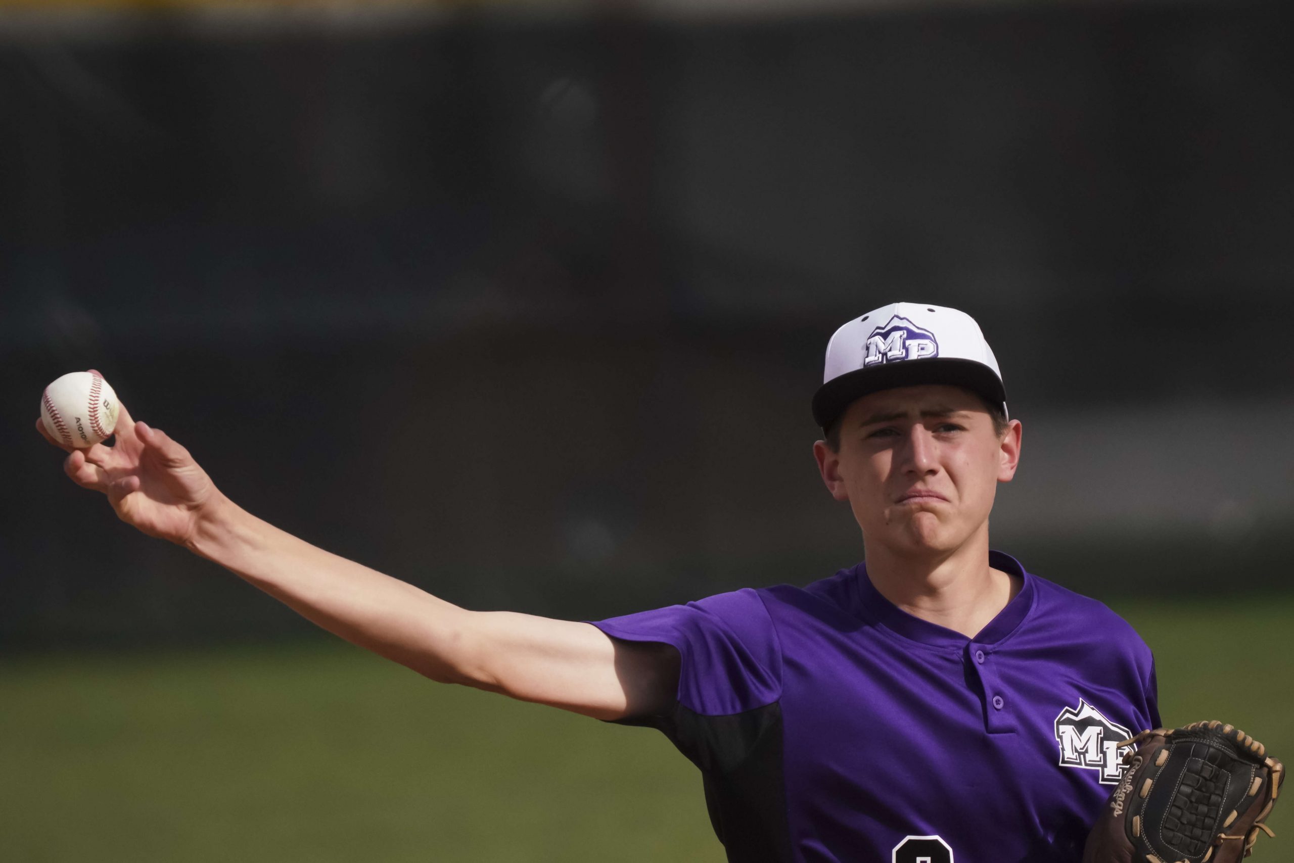 Panthers celebrate seniors: Young baseball team has benefited greatly ...