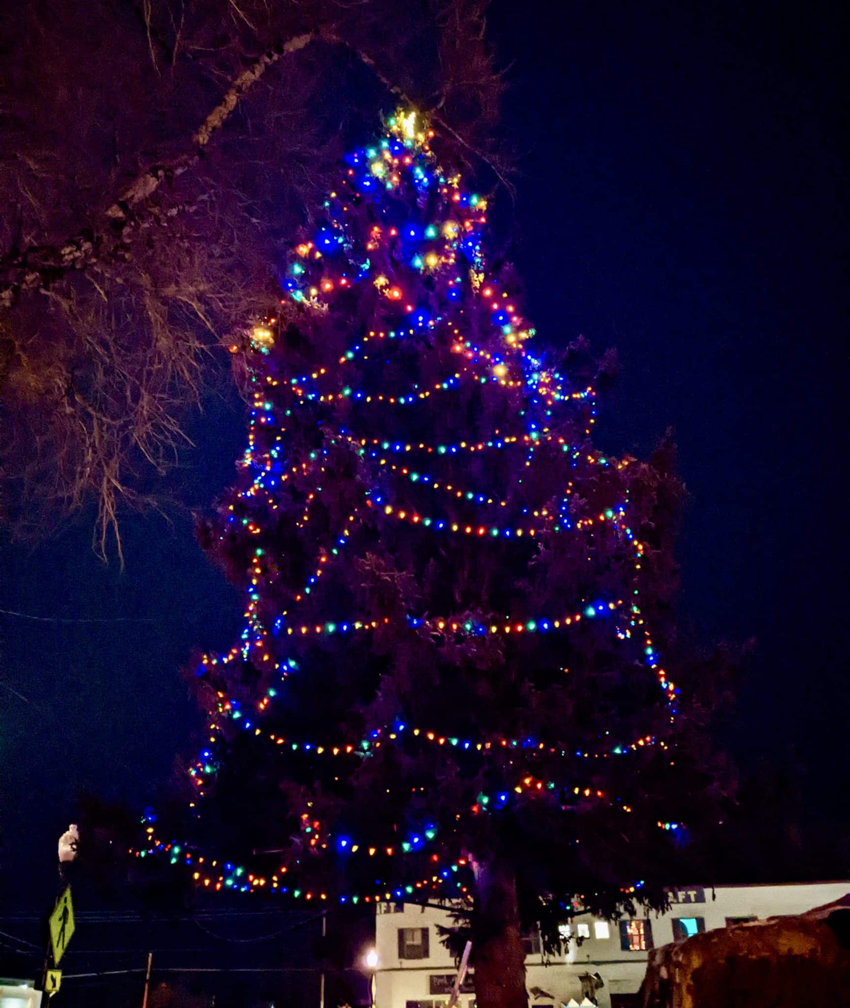 Kremmling touts the tallest living Christmas tree in the West. Here’s ...