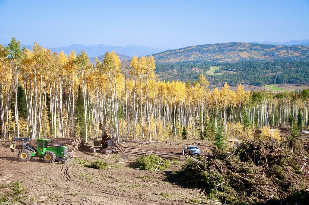 Colorado State Forest Service receives funds for wildfire mitigation ...