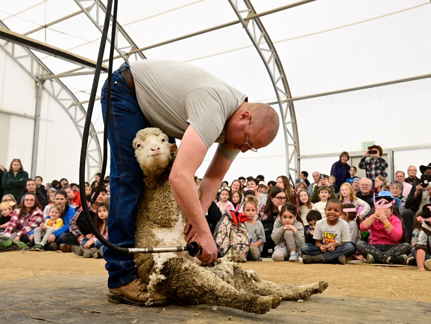 National Western Stock Show back in saddle after pandemic’s rough ride ...
