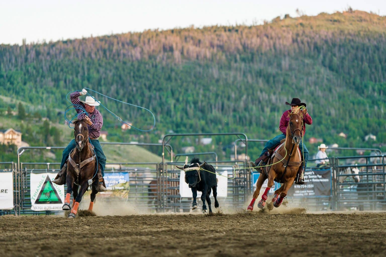 PHOTOS: Roping and riding at the Granby Rodeo | SkyHiNews.com