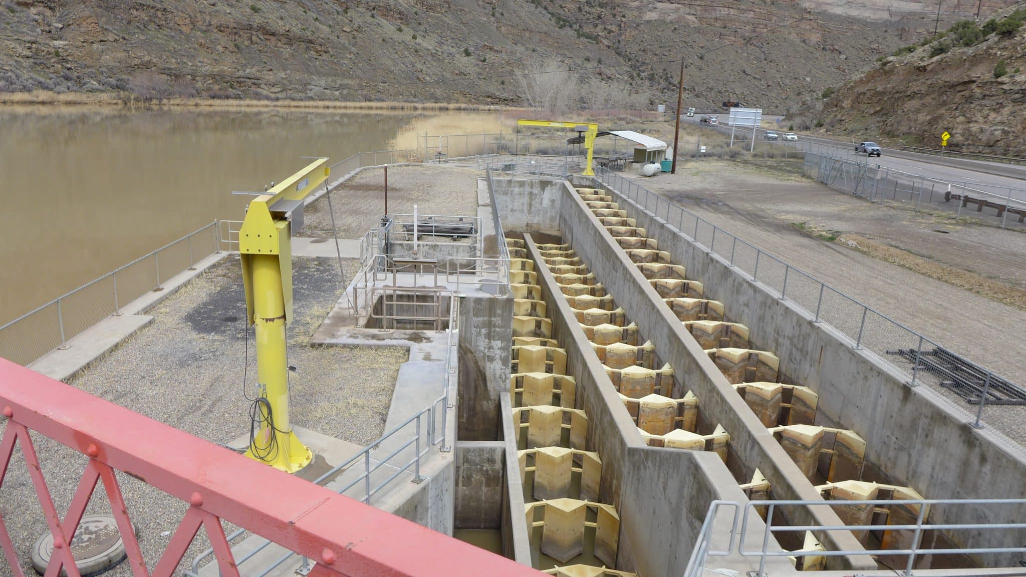 Colorado River endangered fish recovery sees some success | SkyHiNews.com