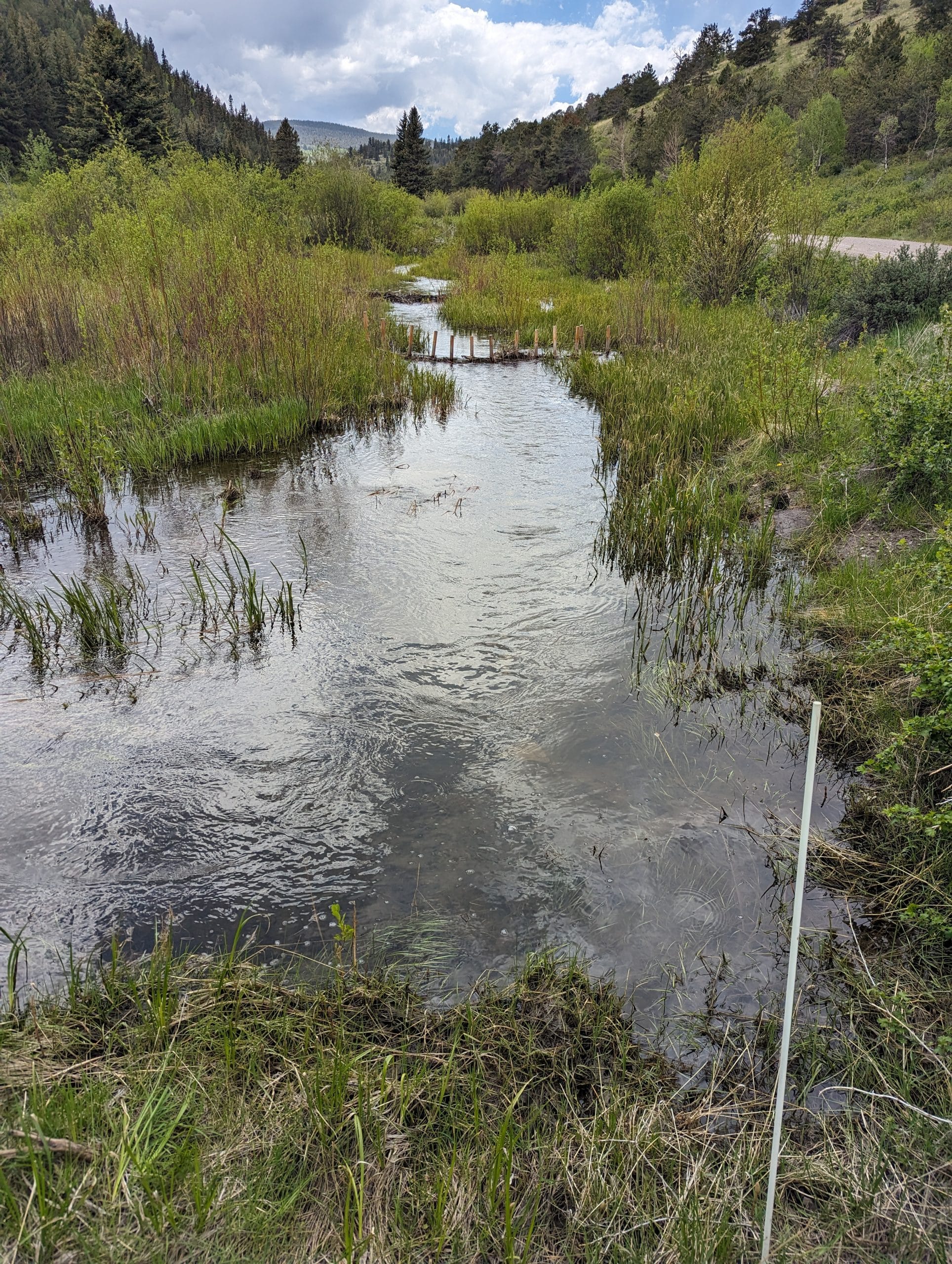 Land Matters: Month of the beaver | SkyHiNews.com