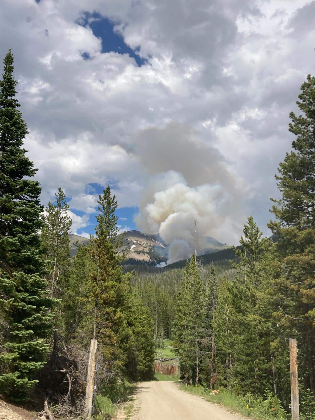 Devil’s Thumb Fire grows to 95 acres, 10% contained | SkyHiNews.com