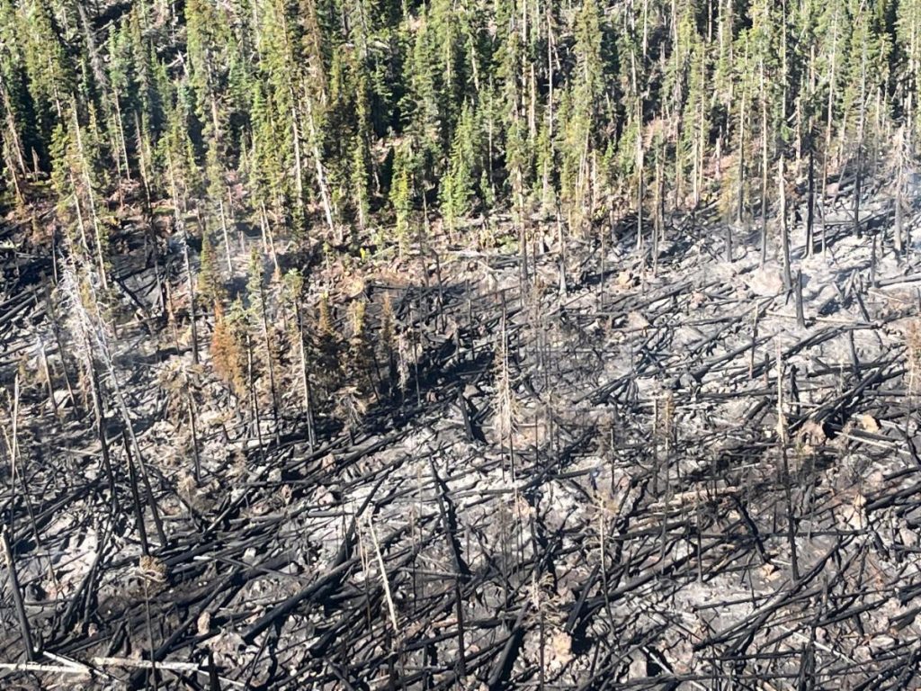 Forest Service expects smoke from Devil’s Thumb Fire to be visible ...