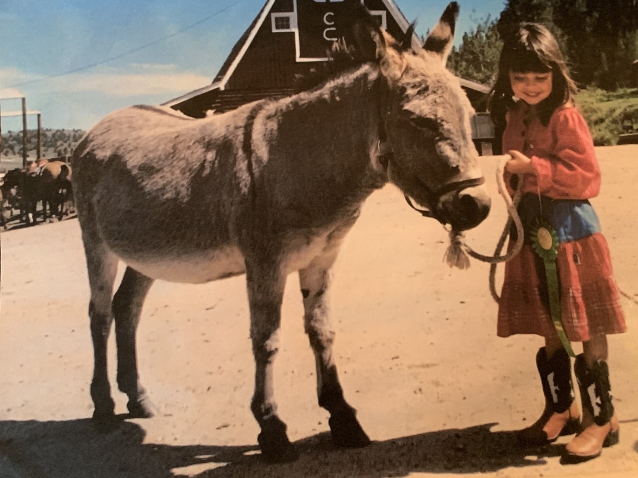 Unplug from your modern life at one of the many dude ranches in Grand ...