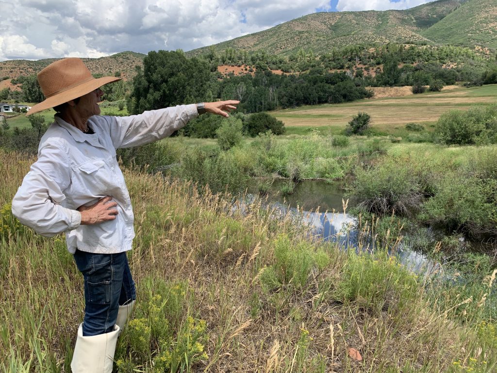This Colorado county aims to bring back beavers | SkyHiNews.com