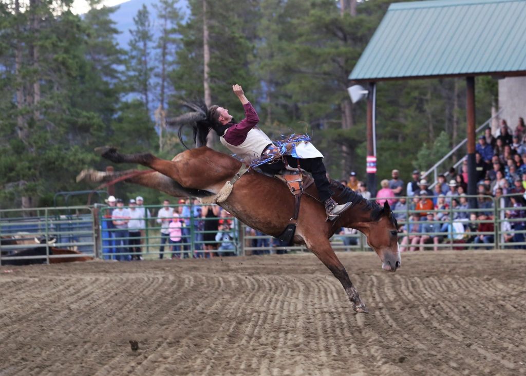 Celebrate the series winners of the 2023 High Country Stampede Rodeo ...