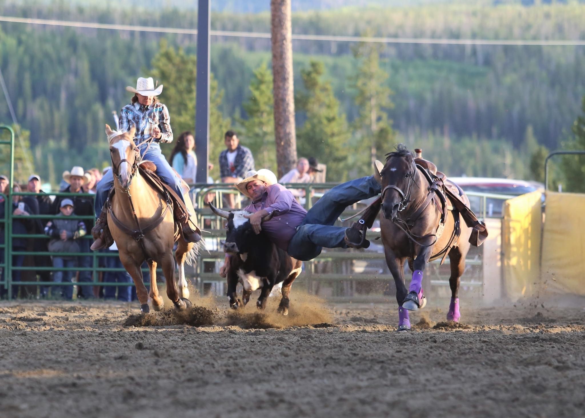 Celebrate the series winners of the 2023 High Country Stampede Rodeo ...
