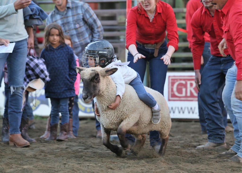 Celebrate the series winners of the 2023 High Country Stampede Rodeo ...
