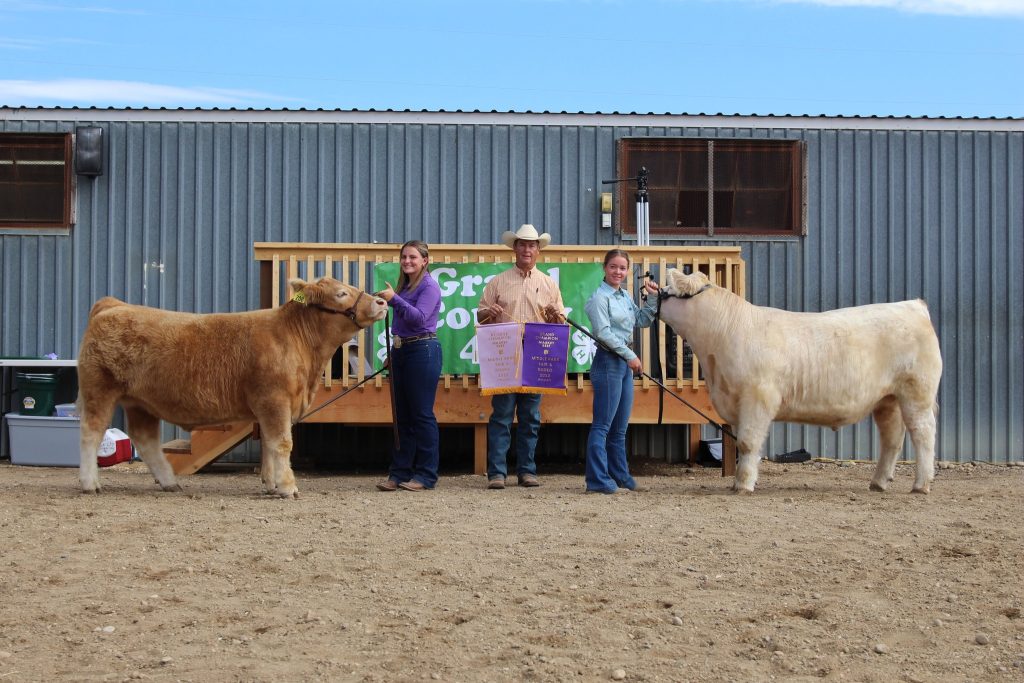 From sheep to swine, Middle Fair and Rodeo announces winners ...