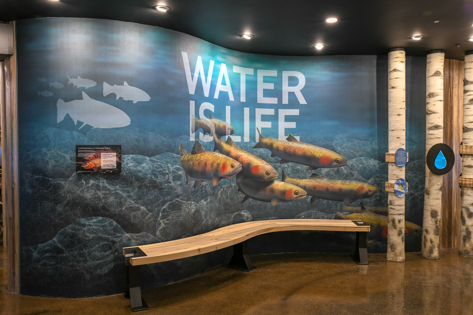 Water corner: Get to know the Colorado River Basin | SkyHiNews.com