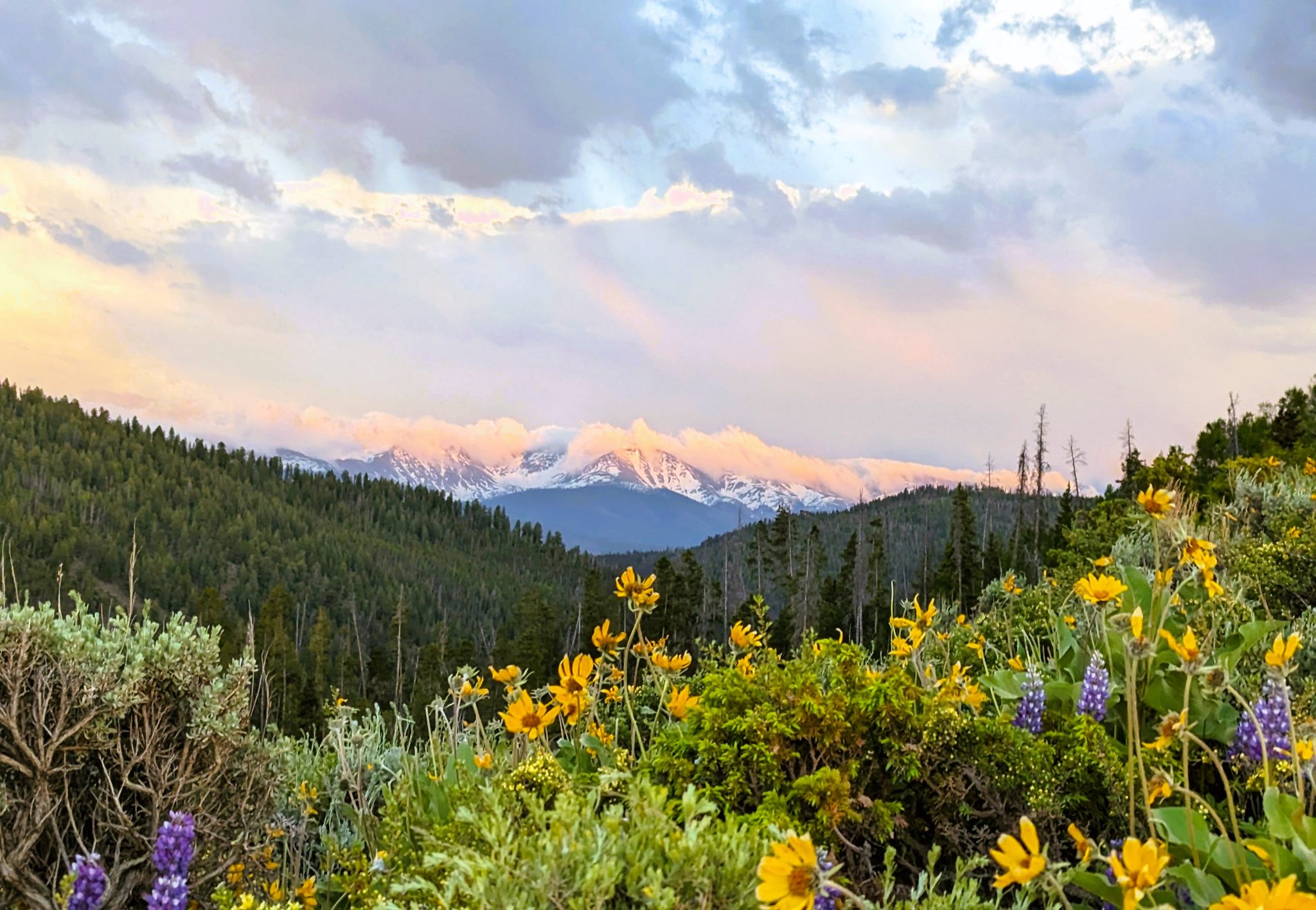 Reader photo: Hikes with mountains, sunshine and flowers | SkyHiNews.com