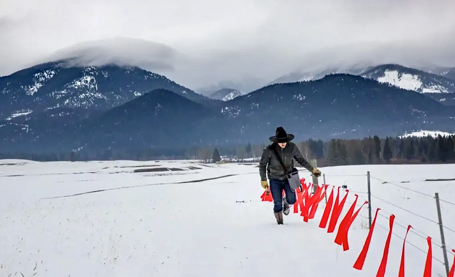 New bill would make it harder for ranchers to be compensated for ...