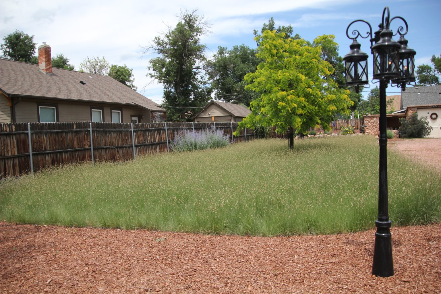 Colorado squeezing water from urban landscapes | SkyHiNews.com