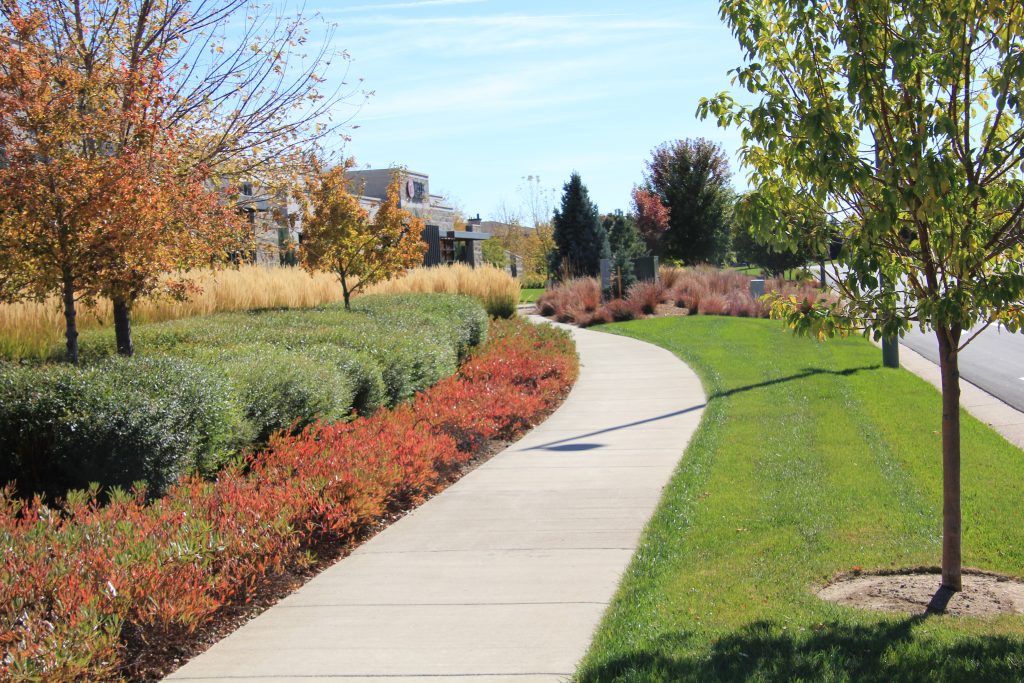 Colorado squeezing water from urban landscapes | SkyHiNews.com