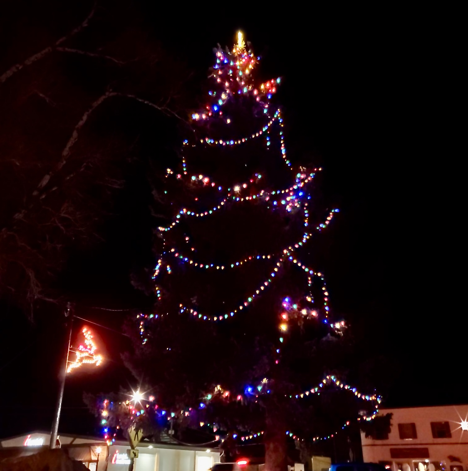 PHOTOS: Kremmling Christmas tree lighting | SkyHiNews.com