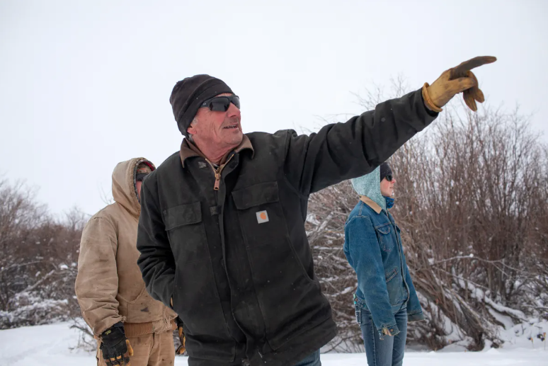 Rules for lethal control of wolves are murky. Colorado ranchers say ...