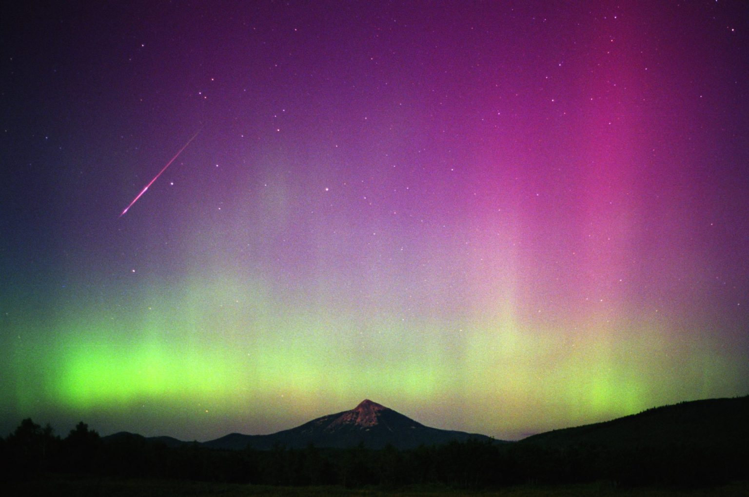 ‘Look at that!’ Perseid meteor shower will bring hundreds of shooting stars to night skies ...