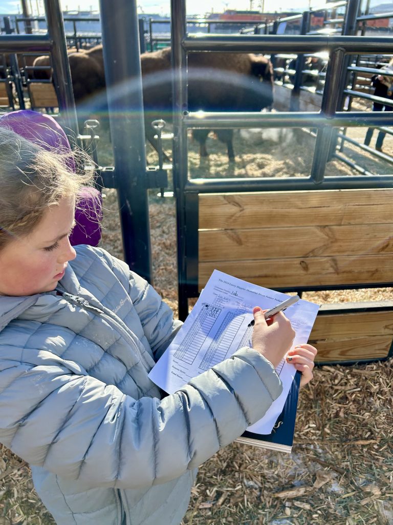 Reader Photos: Grand County 4-H kids participate in National Western ...