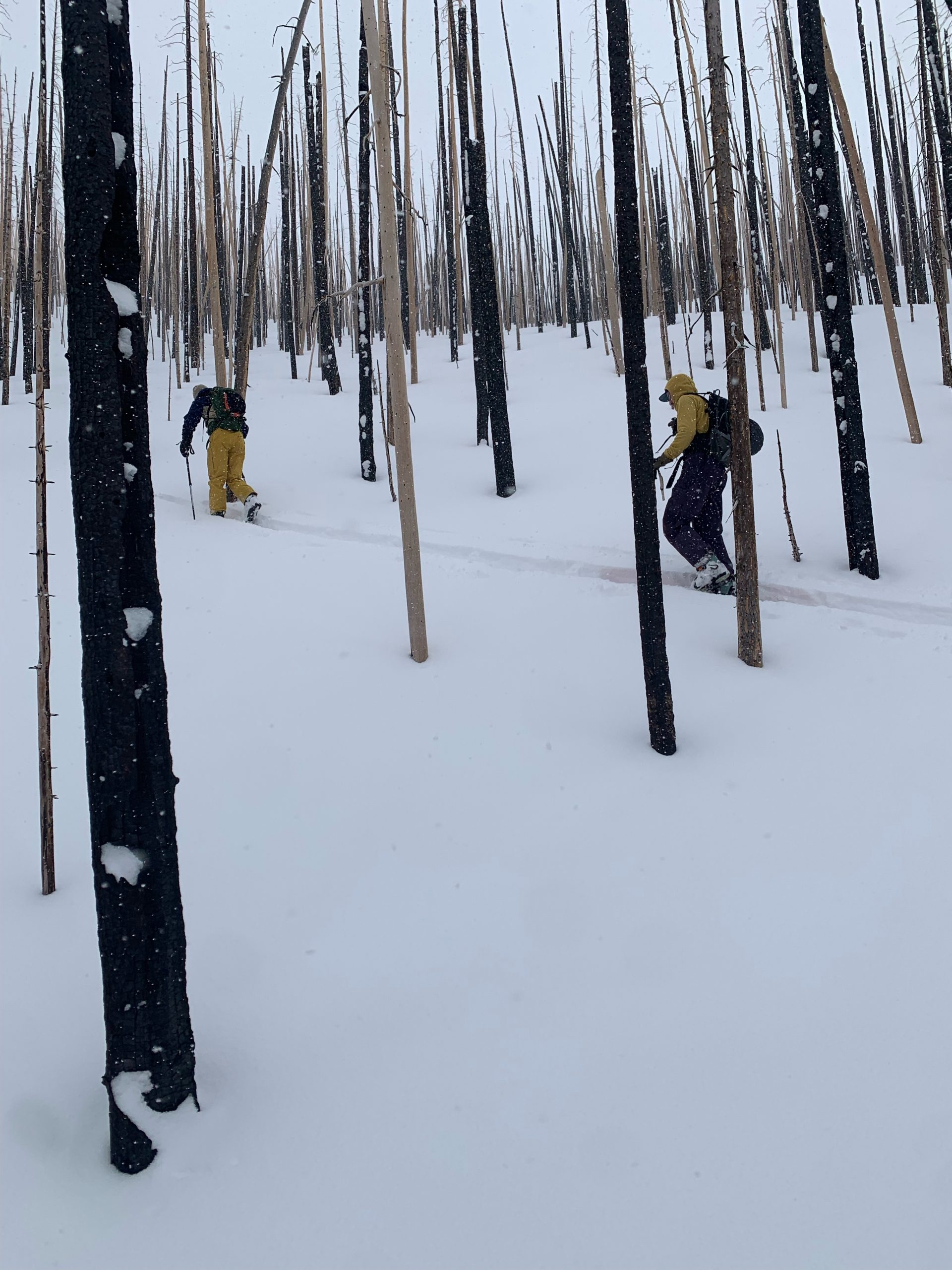 Photo: Skiing through Rocky Mountain National Park’s burn scar ...