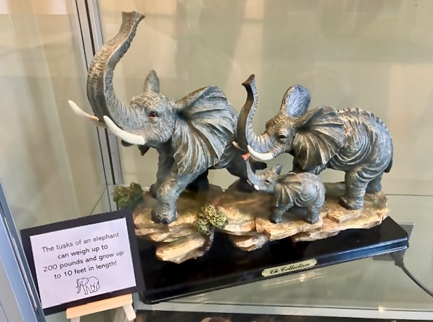 A parade of pachyderms at your local library | SkyHiNews.com