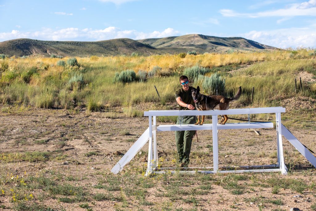 Grand County Sheriff’s Deputy is recognized as law enforcement champion ...