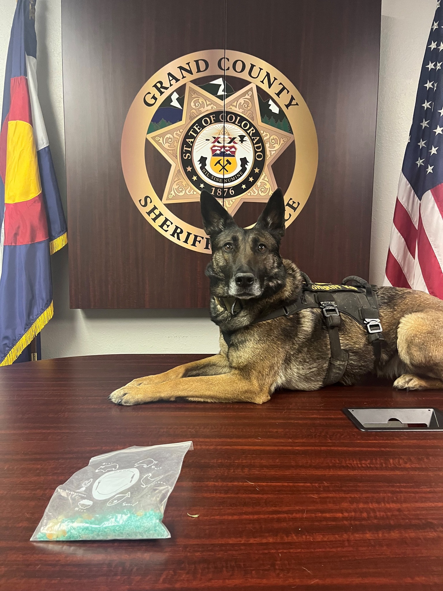 Grand County Sheriff’s Deputy is recognized as law enforcement champion ...