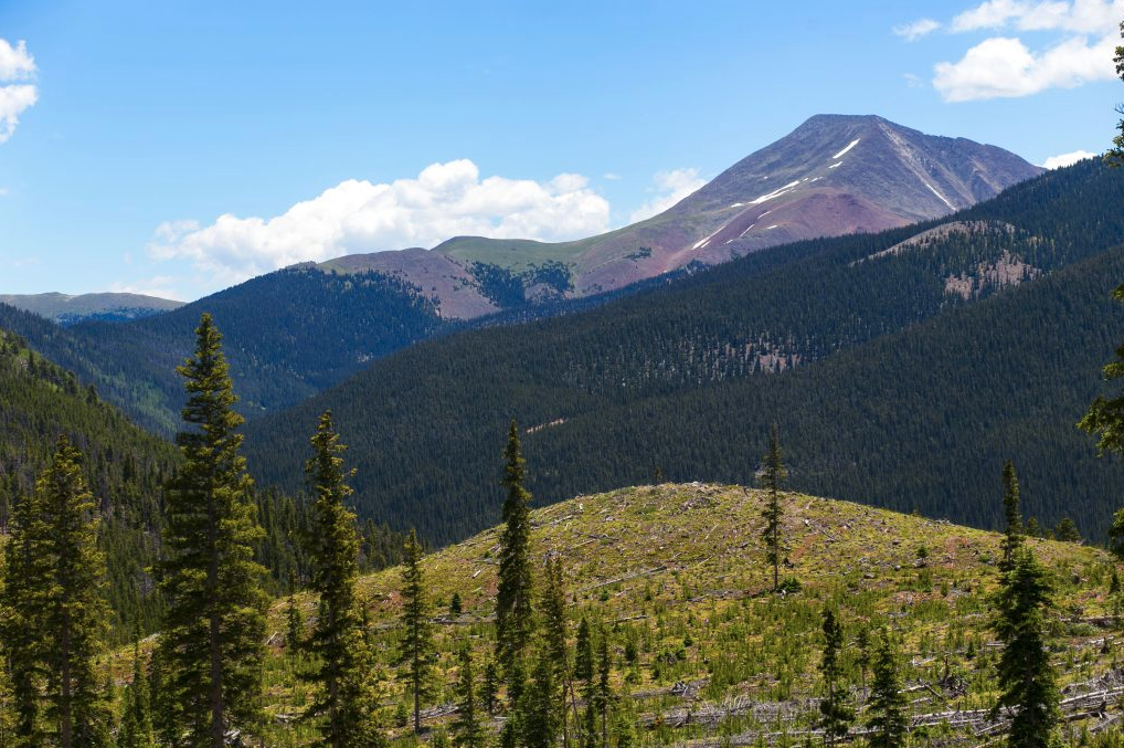 Officials say fuels reduction work helped protect Breckenridge ...