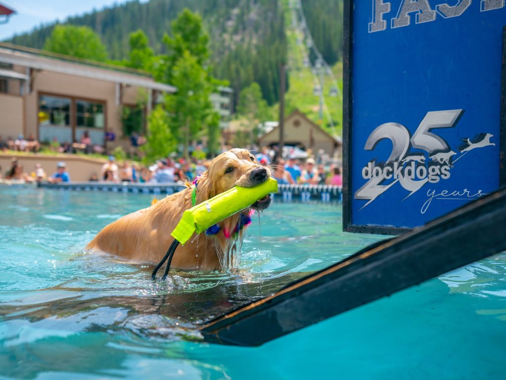PHOTOS: Dock Dogs make a splash at Winter Park Resort’s Venture Out ...