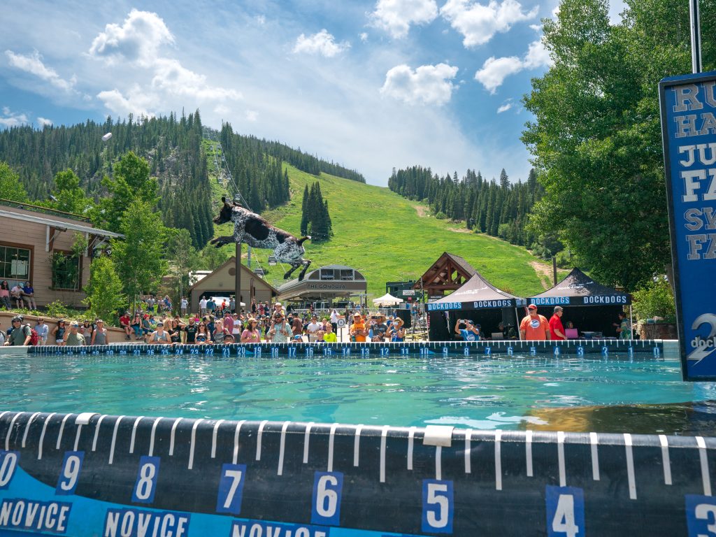 PHOTOS: Dock Dogs make a splash at Winter Park Resort’s Venture Out ...