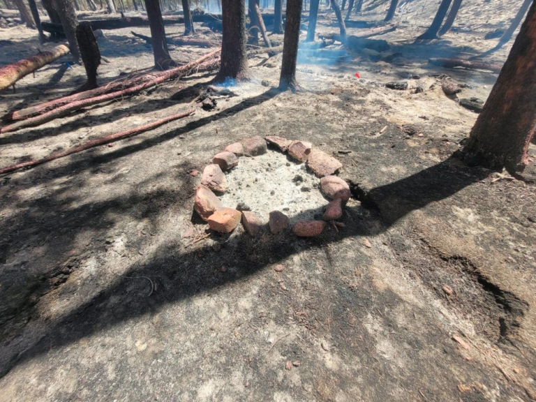 BLM and USFS announce stage one fire restrictions for public lands in ...