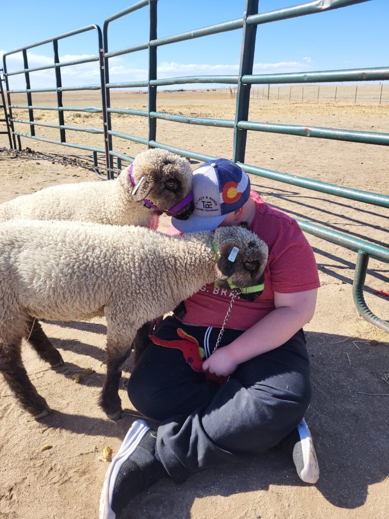 A strong bond: Gage Graves and Lambo at the El Paso County Fair ...