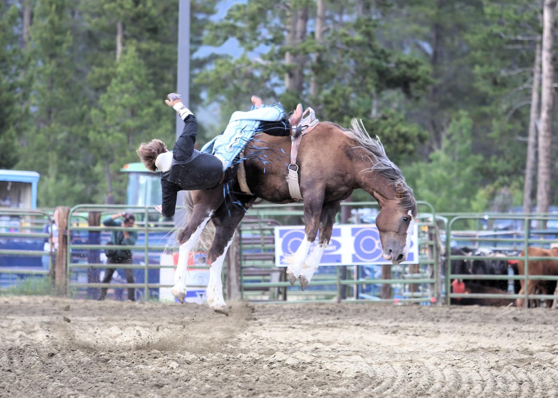 High Country Stampede Rodeo results | SkyHiNews.com