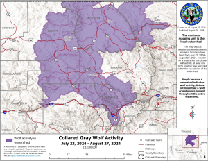 A wolf visited Rocky Mountain National Park, a first since they were ...