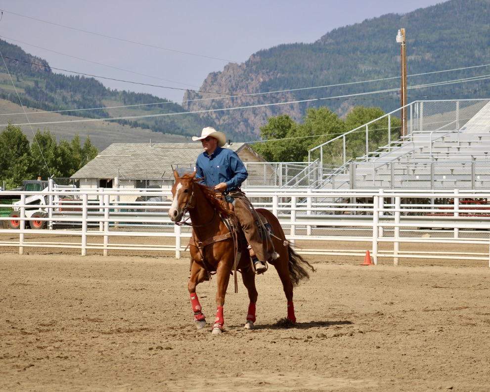 PHOTOS: Kids exhibit a variety of animals and talents at annual Middle ...