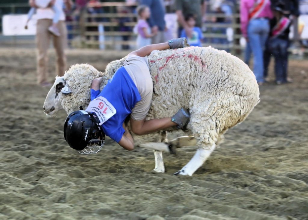 Catch First Responder Night and awards at Saturday’s High Stampede ...