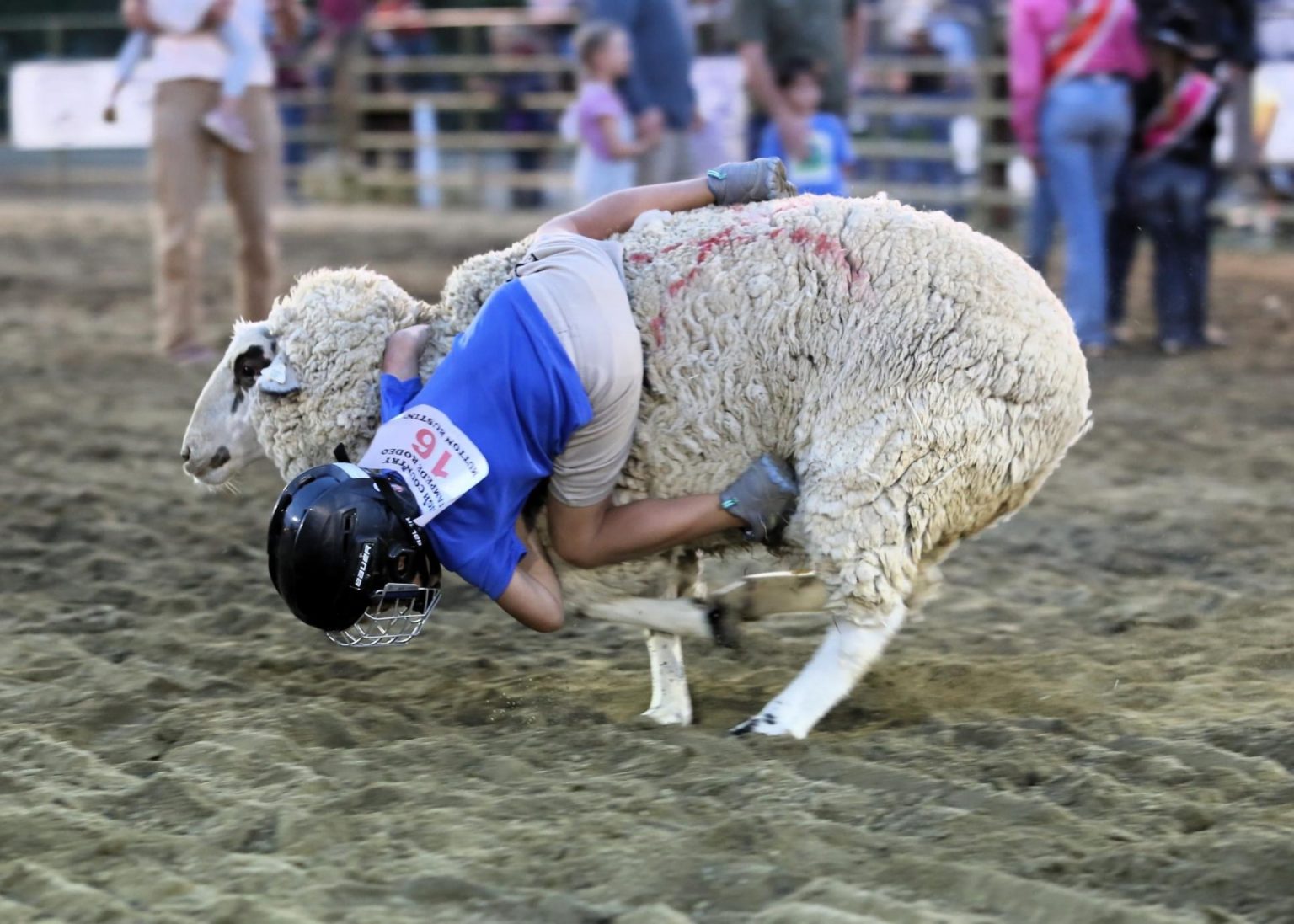 Catch First Responder Night and awards at Saturday’s High Stampede ...